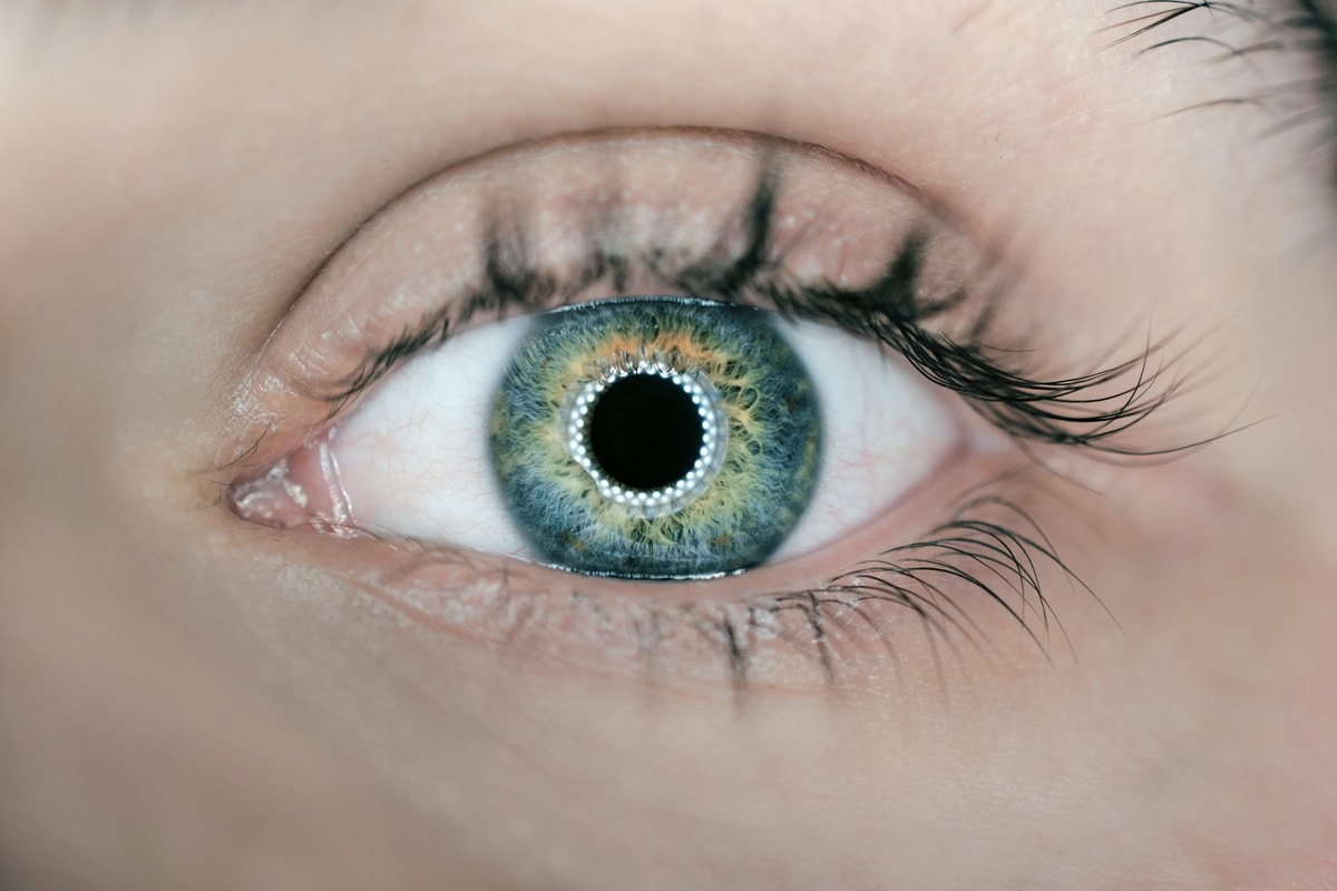 Can You Go Blind From Laser Eye Surgery Optimax Can You Go Blind From Laser Eye Surgery Optimax